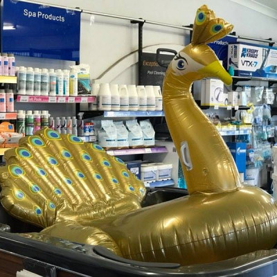 Essential Pools Taree | Sapphire Spas